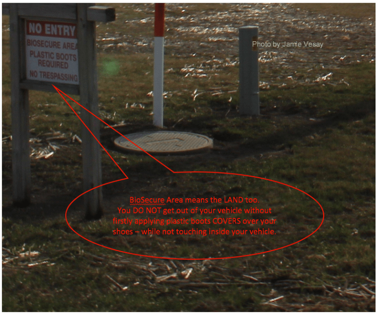 Pig biosecure area warning sign with graphic TRD CRP WM Jamie Vesay ...